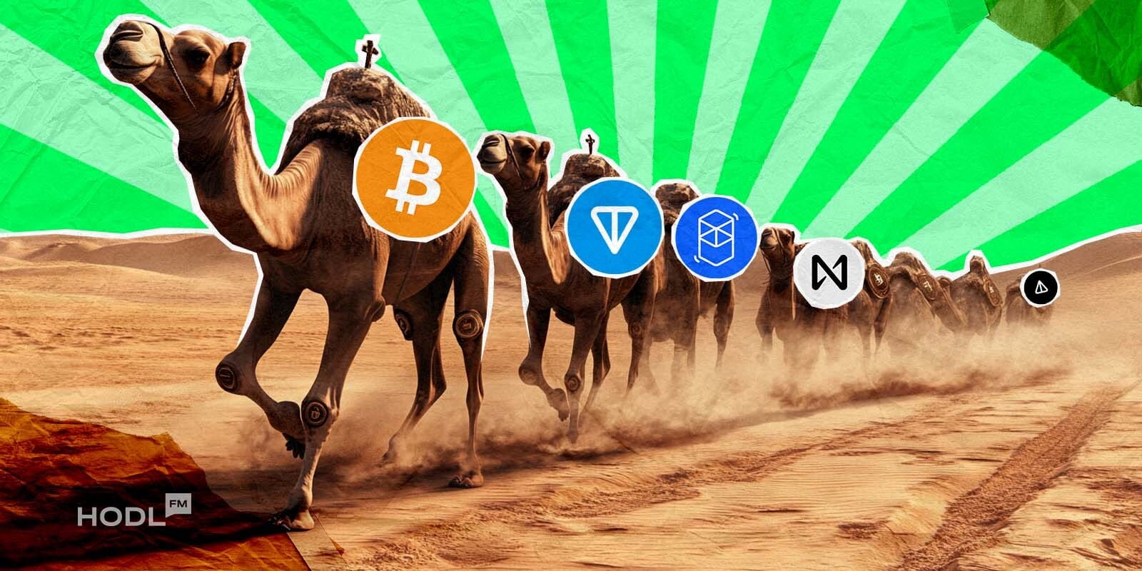 Qatar Launches Digital Asset Framework to Attract Global Fintech | HODL FM