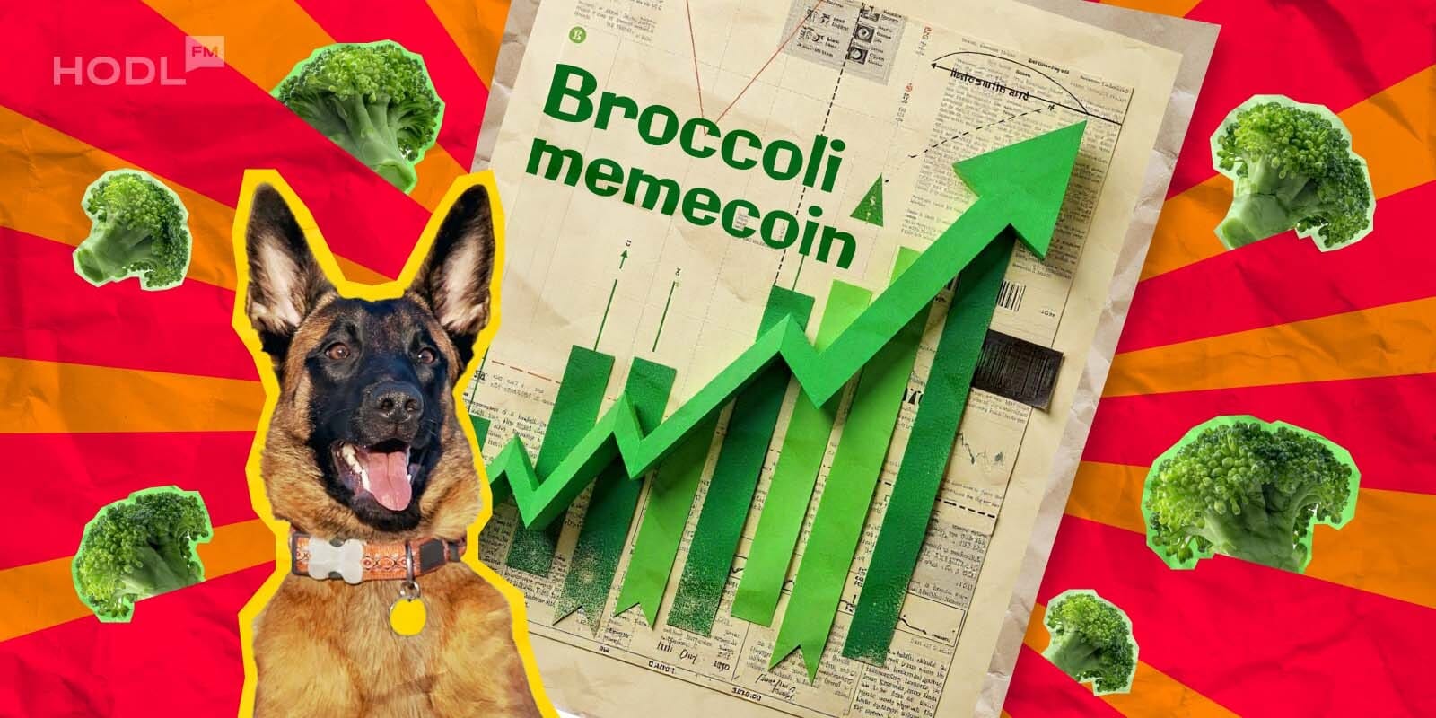 CZ’s Dog’s Name Goes Viral—Now There’s a Broccoli Memecoin Empire | HODL FM