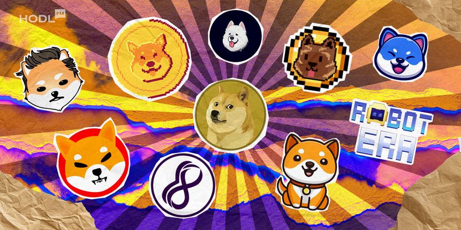 Meet the Best Meme Coins That Could Explode in 2023! | HODL FM